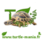 La Sulcata | TURTLE MANIA